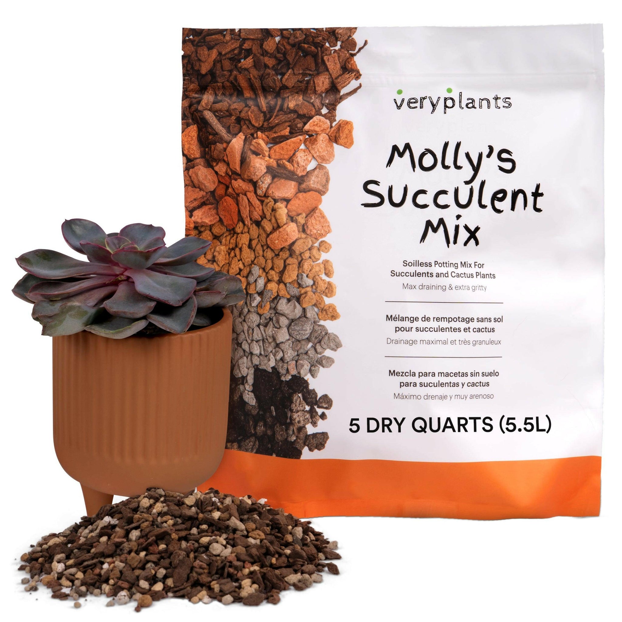 Molly's Succulent Mix - Premium Gritty Soilless Potting Mix for ...
